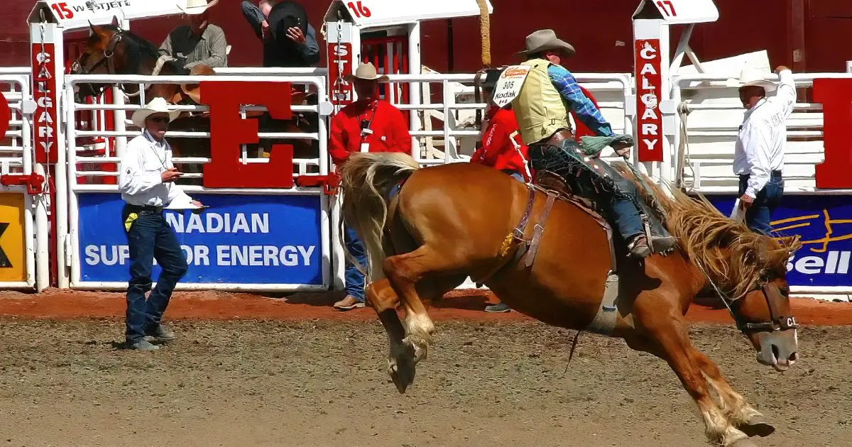 Calgary Stampede 2025: Noticias desde Brooks, Alberta